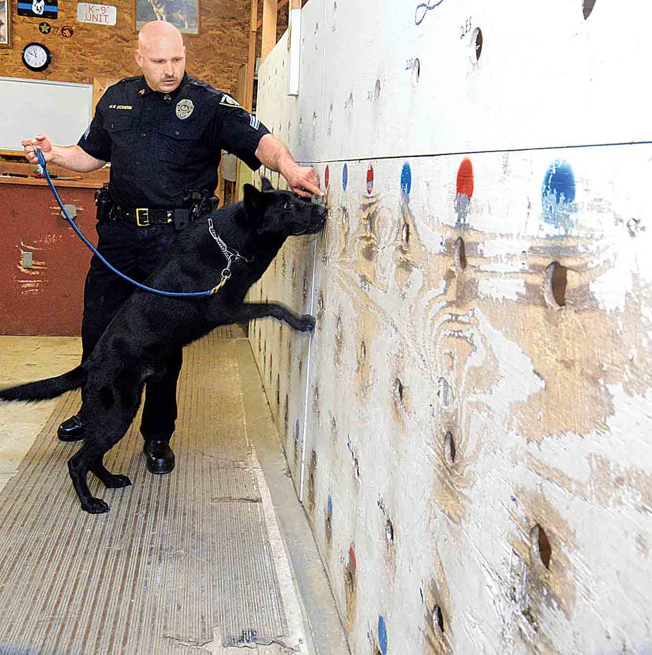 Parkersburg Police, Wood Sheriff’s Department set to unleash three new ...